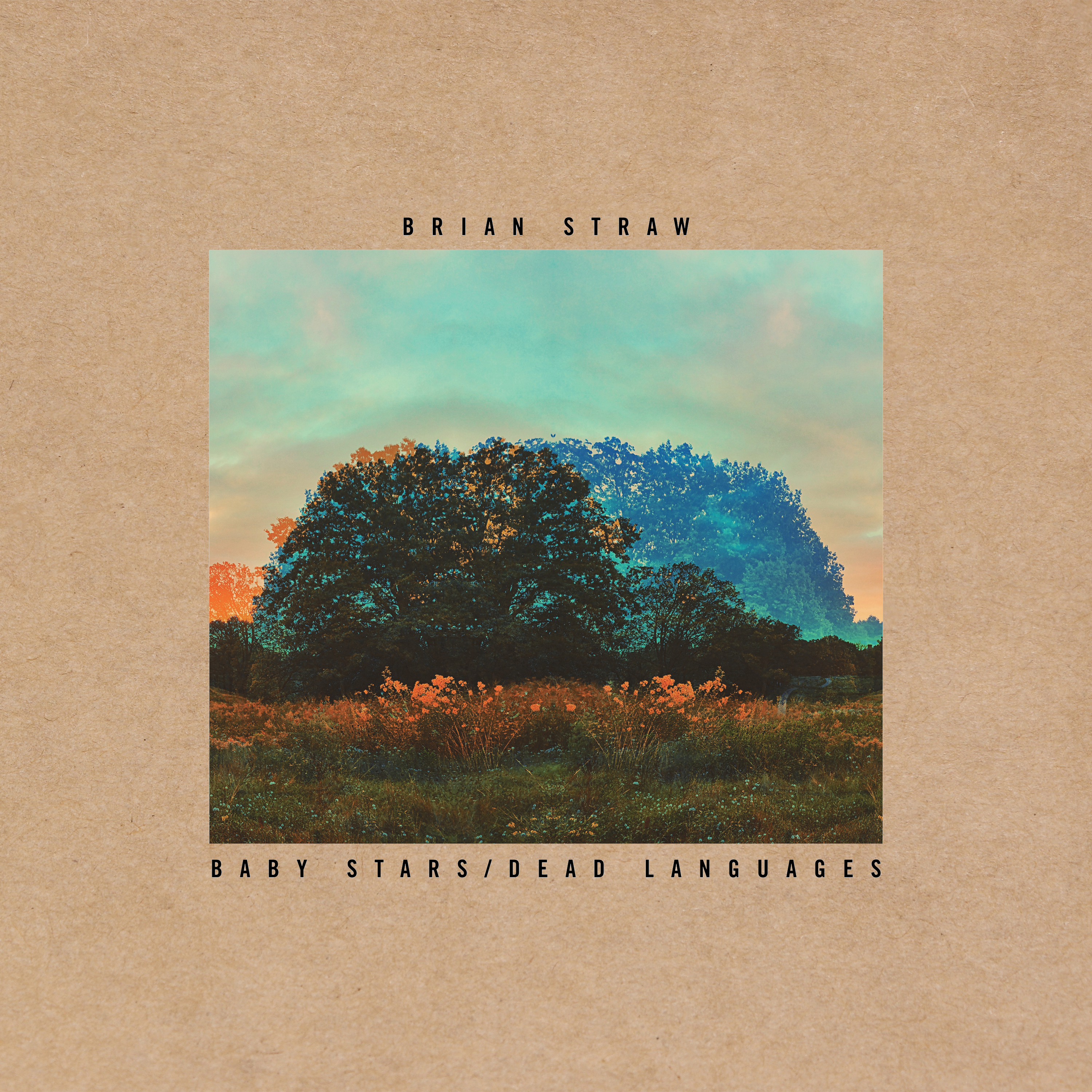 Tributes to Brian Wilson and Bob Dylan highlight indie releases