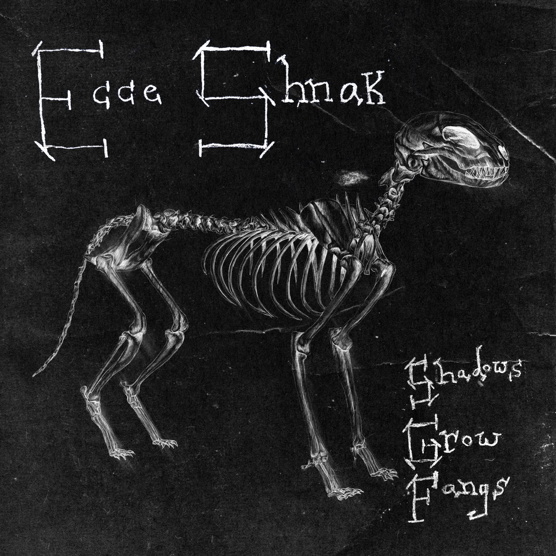 10 Albums that Changed My Life: David Roush of Ecce Shnak
